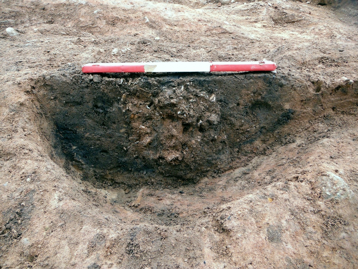 Bucklow Hill Round Barrow(s) : The Megalithic Portal and Megalith Map: