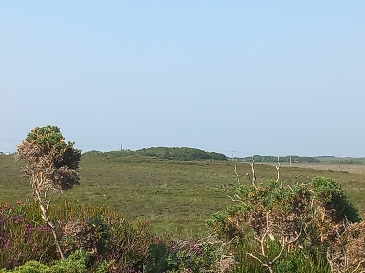 Goonhilly Downs Barrows, Cornwall | Megalithic Portal