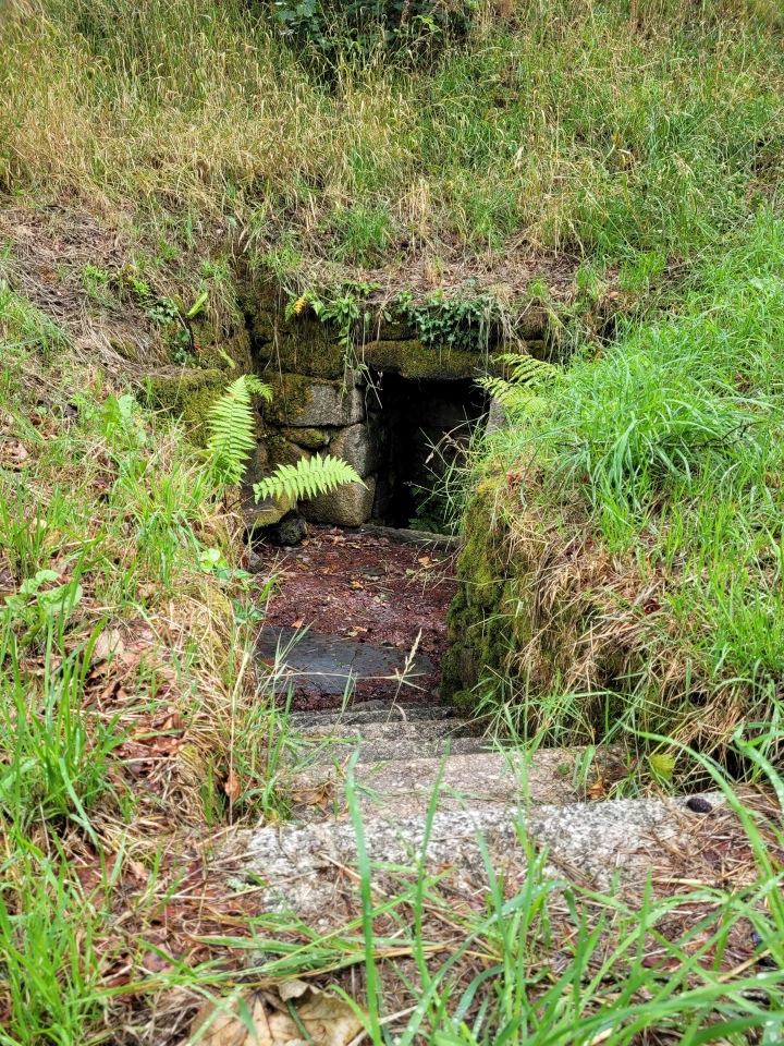 St Michael's Well (Michaelstow), Cornwall | Megalithic Portal