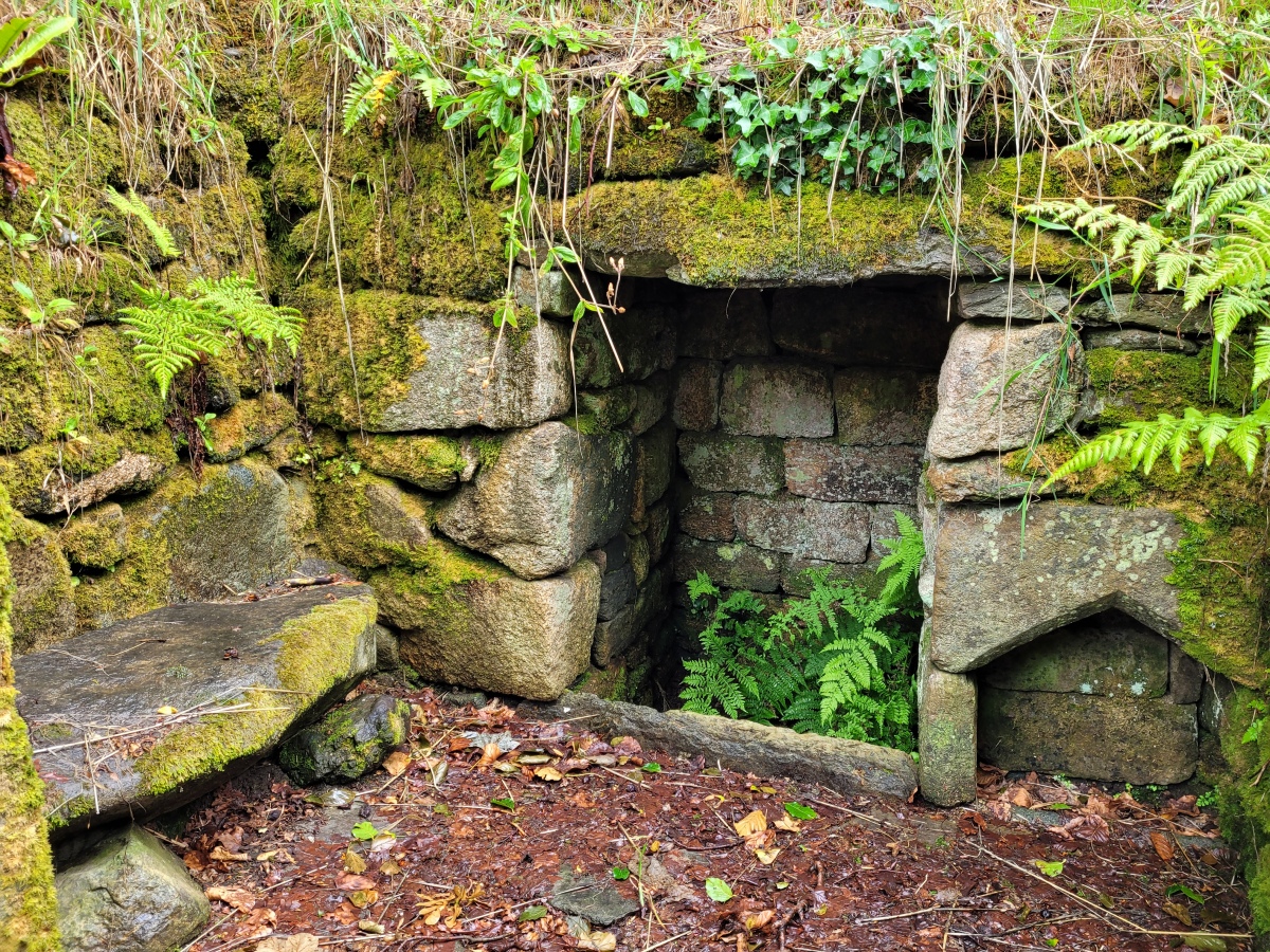 St Michael's Well (Michaelstow), Cornwall | Megalithic Portal