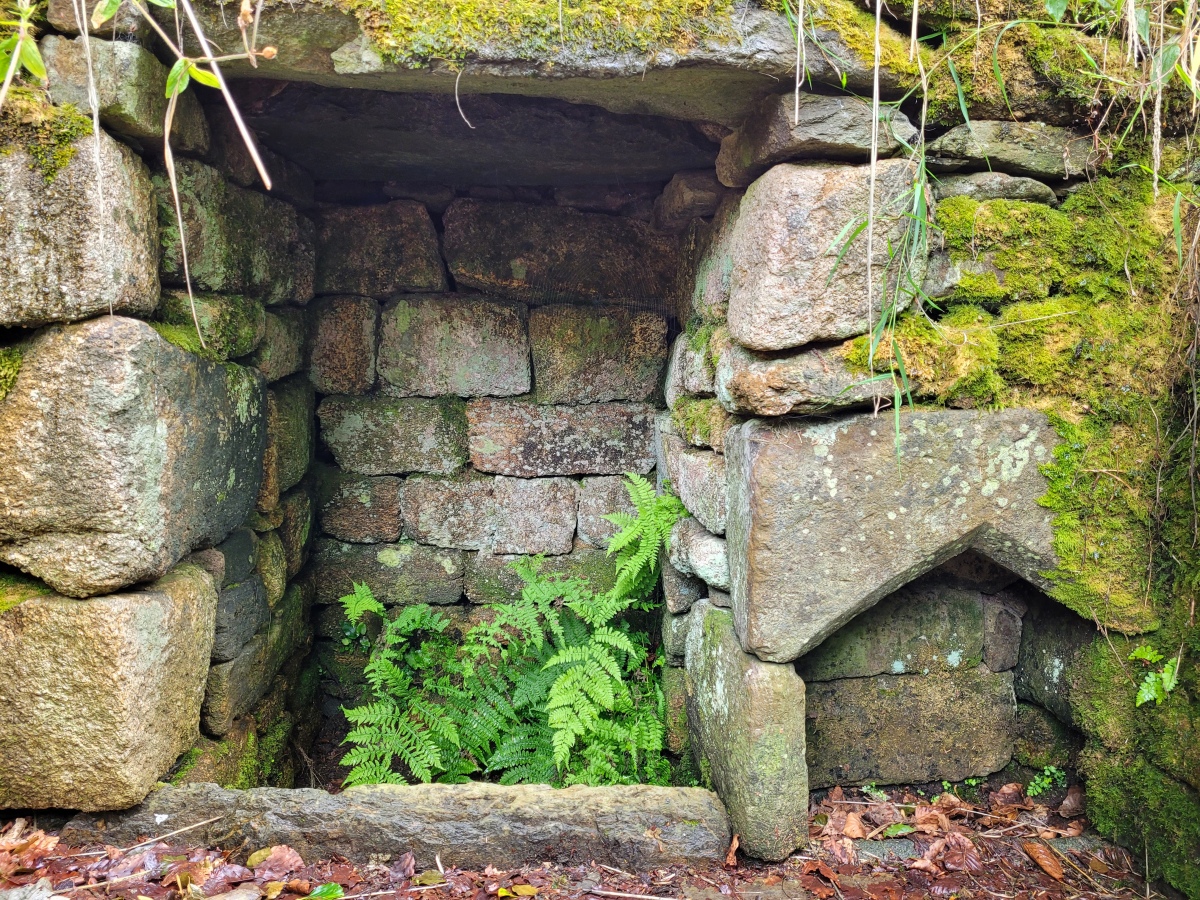 St Michael's Well (Michaelstow), Cornwall | Megalithic Portal