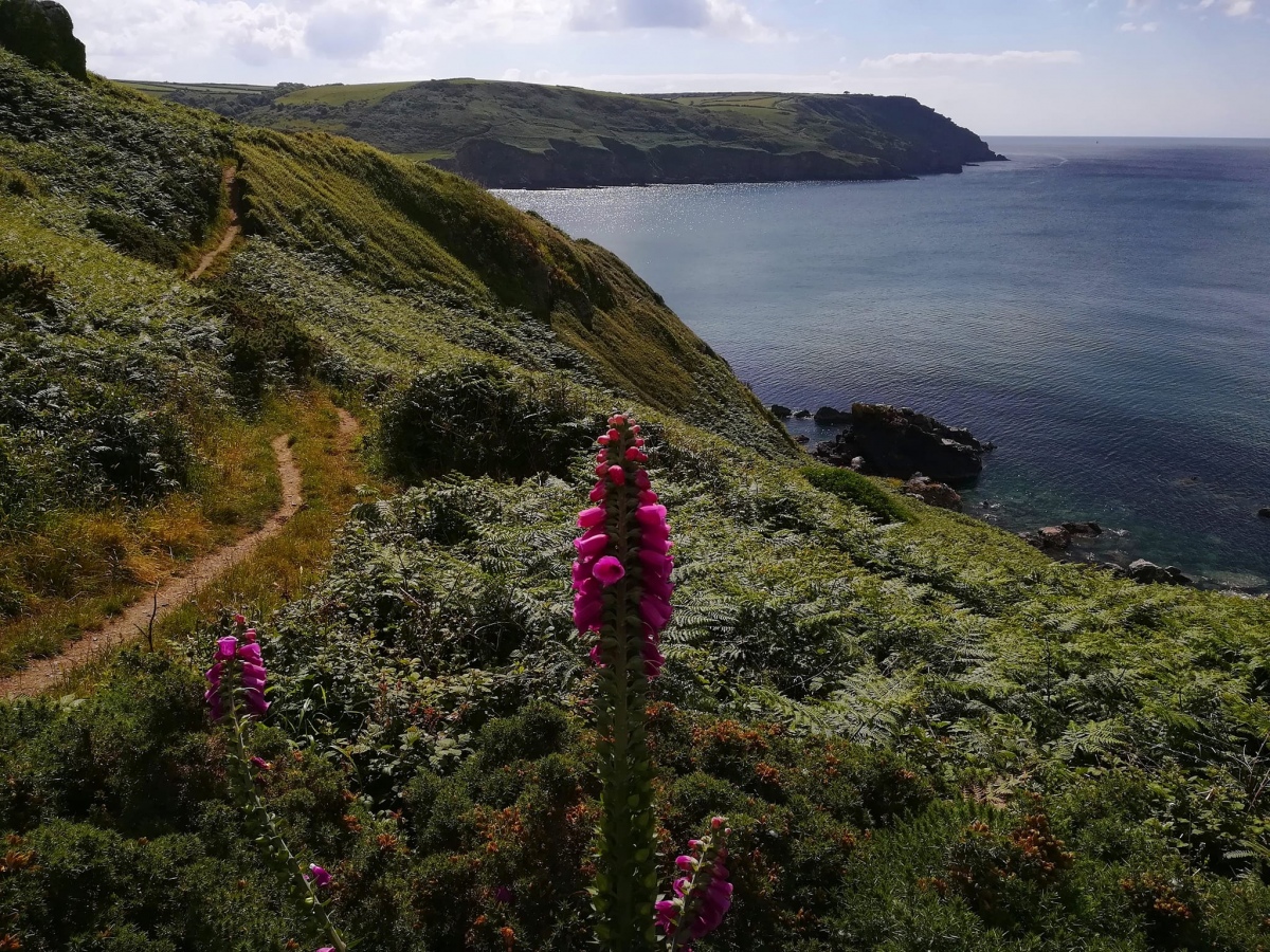 Dodman Point, Cornwall | Megalithic Portal