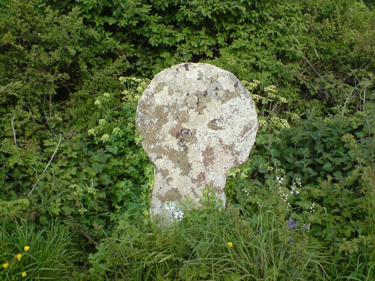 Nun Careg Cross, Cornwall | Megalithic Portal