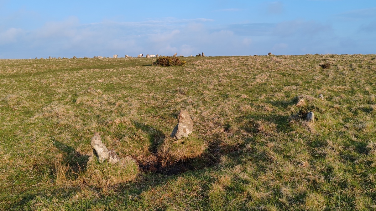 Stannon stone setting, Cornwall | Megalithic Portal