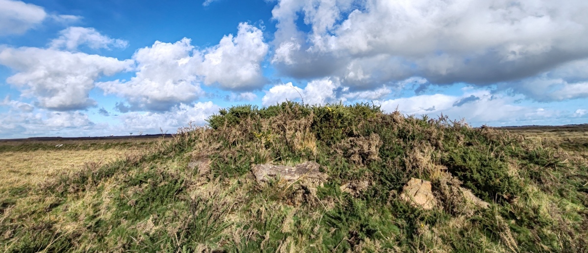 Trewithno Tumuli Barrow Cemetery : The Megalithic Portal and Megalith Map: