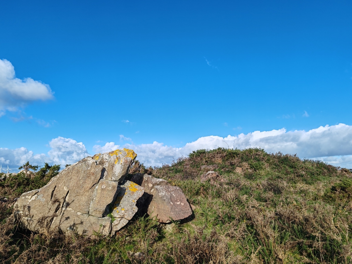 Trewithno Tumuli Barrow Cemetery : The Megalithic Portal and Megalith Map: