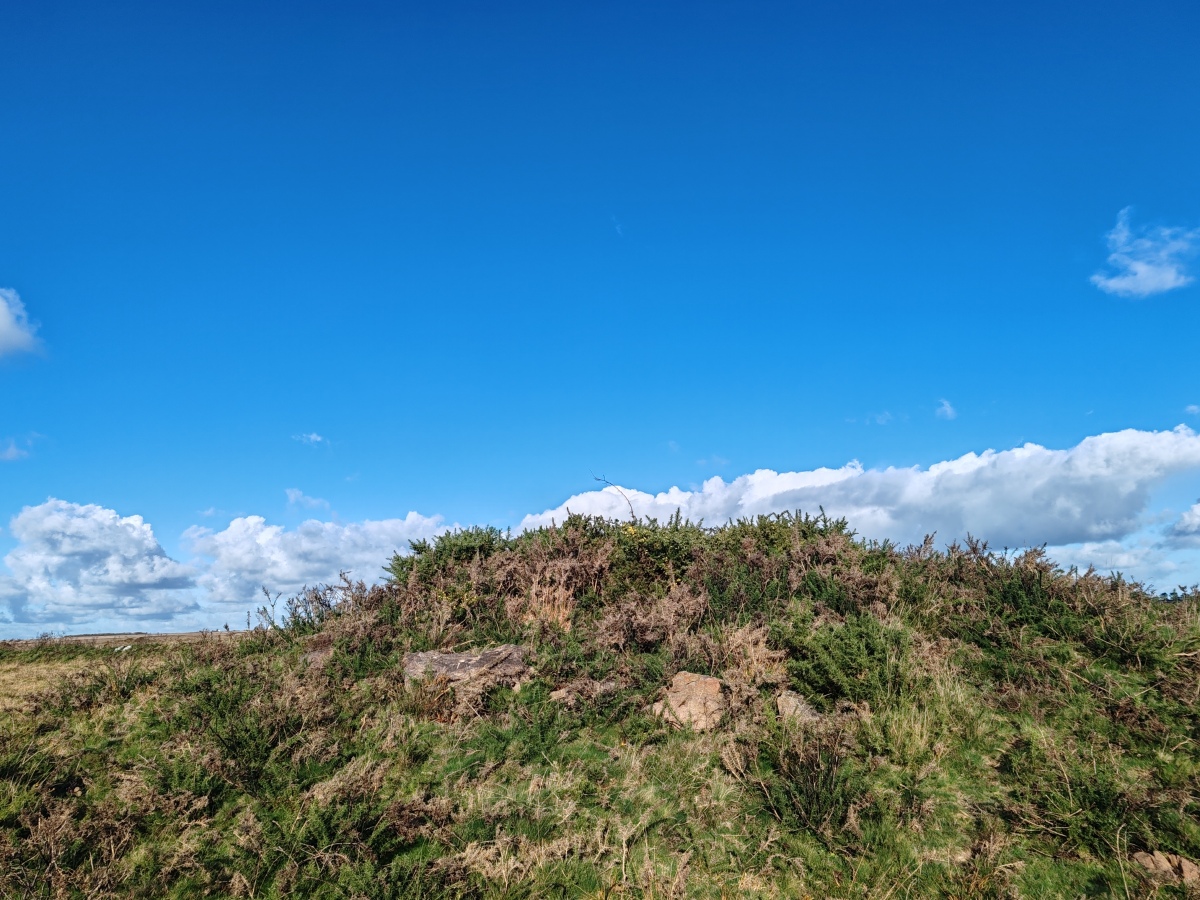 Trewithno Tumuli Barrow Cemetery : The Megalithic Portal and Megalith Map: