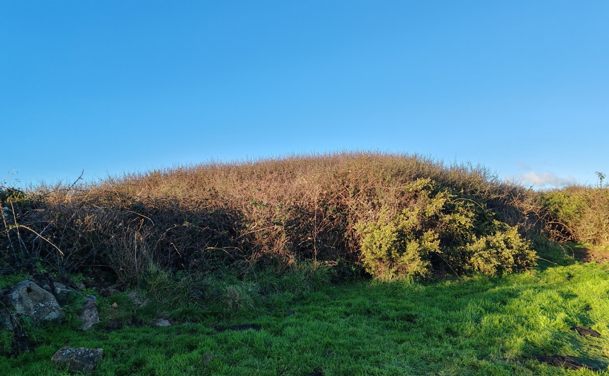 Sunny Corner Barrow, Cornwall | Megalithic Portal
