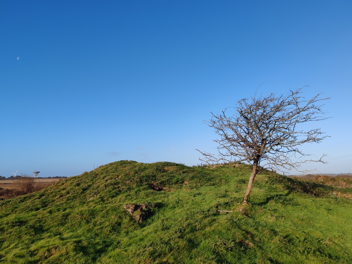 Polkerth Tumuli Barrow Cemetery : The Megalithic Portal and Megalith Map: