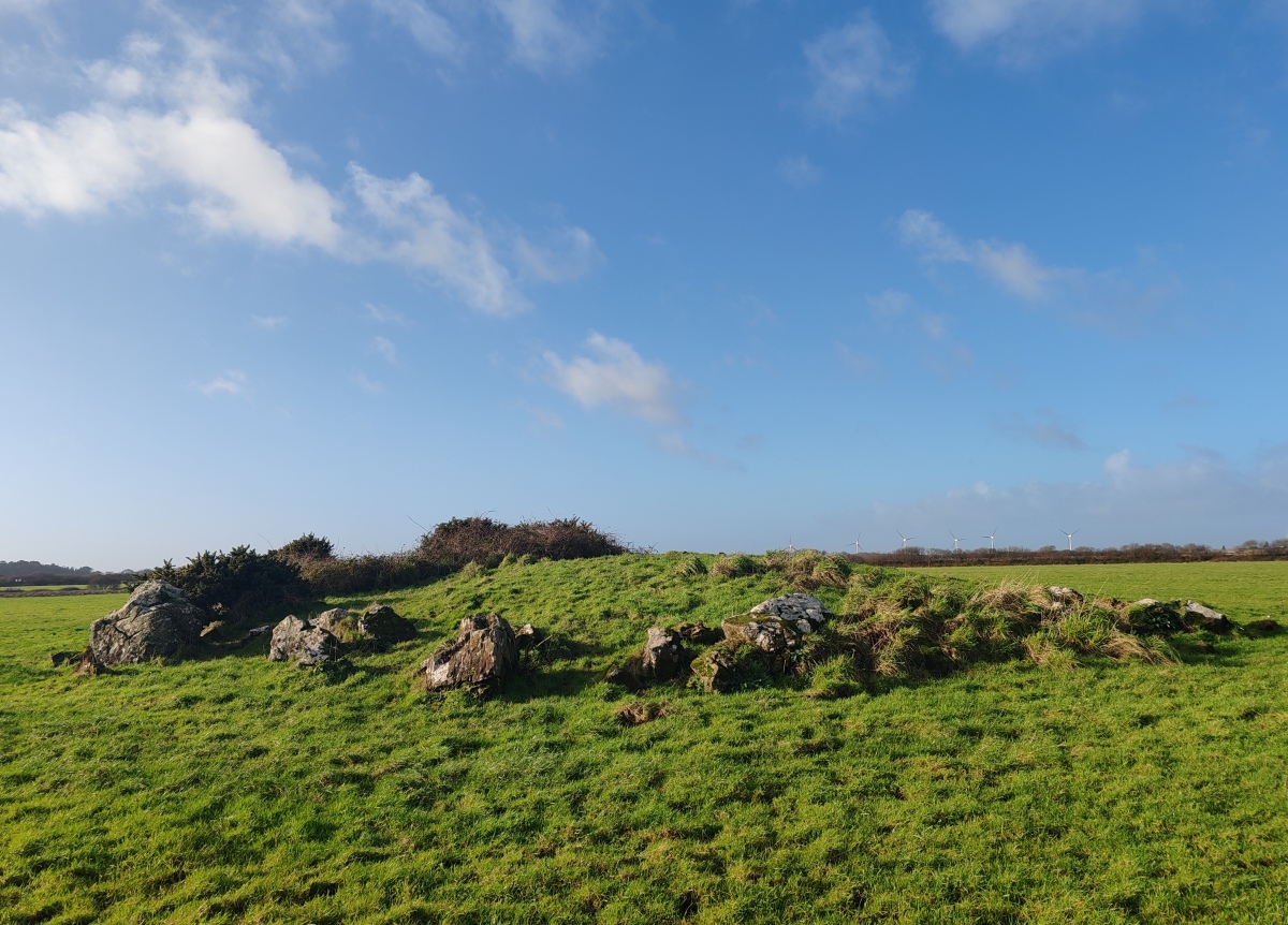 Rosuic Common Tumuli, Cornwall | Megalithic Portal