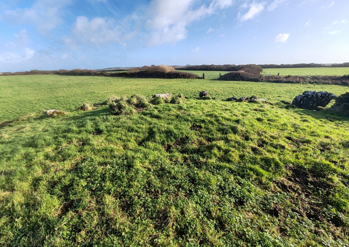Rosuic Common Tumuli, Cornwall | Megalithic Portal