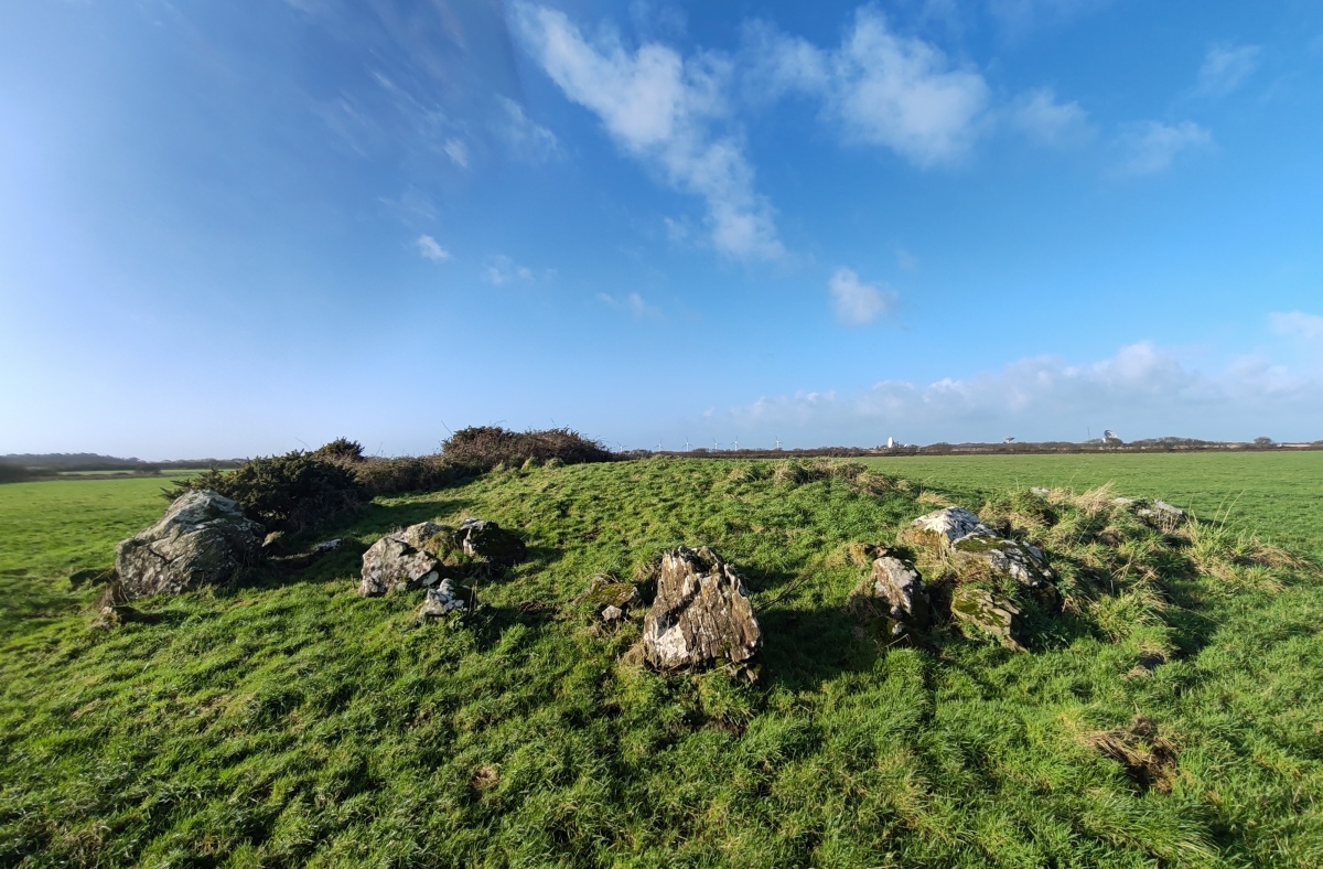 Rosuic Common Tumuli, Cornwall | Megalithic Portal