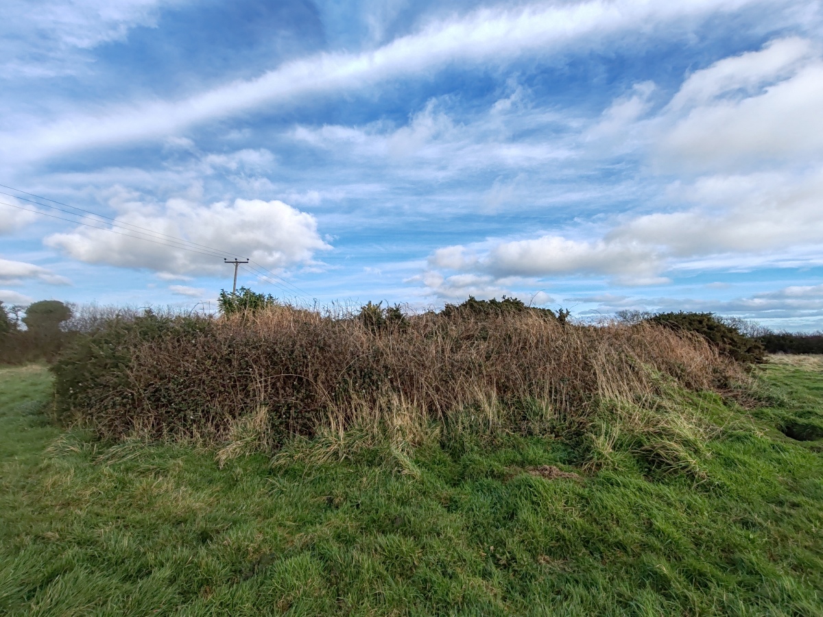 Arrowan Common Tumuli Barrow Cemetery : The Megalithic Portal and ...