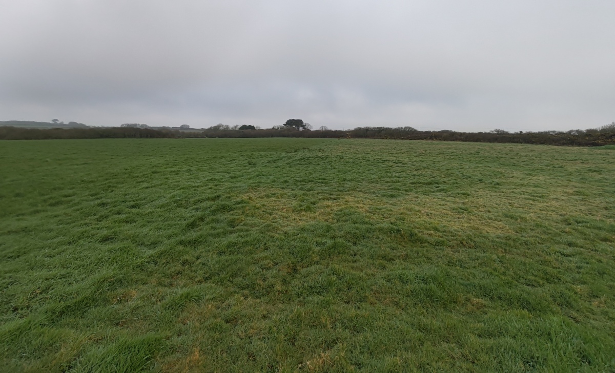 Penhale Enclosure, Cornwall | Megalithic Portal