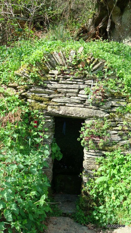 St Non's Well (Cornwall), Cornwall | Megalithic Portal