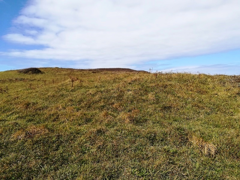 Ligger Point Barrows Barrow Cemetery : The Megalithic Portal and ...