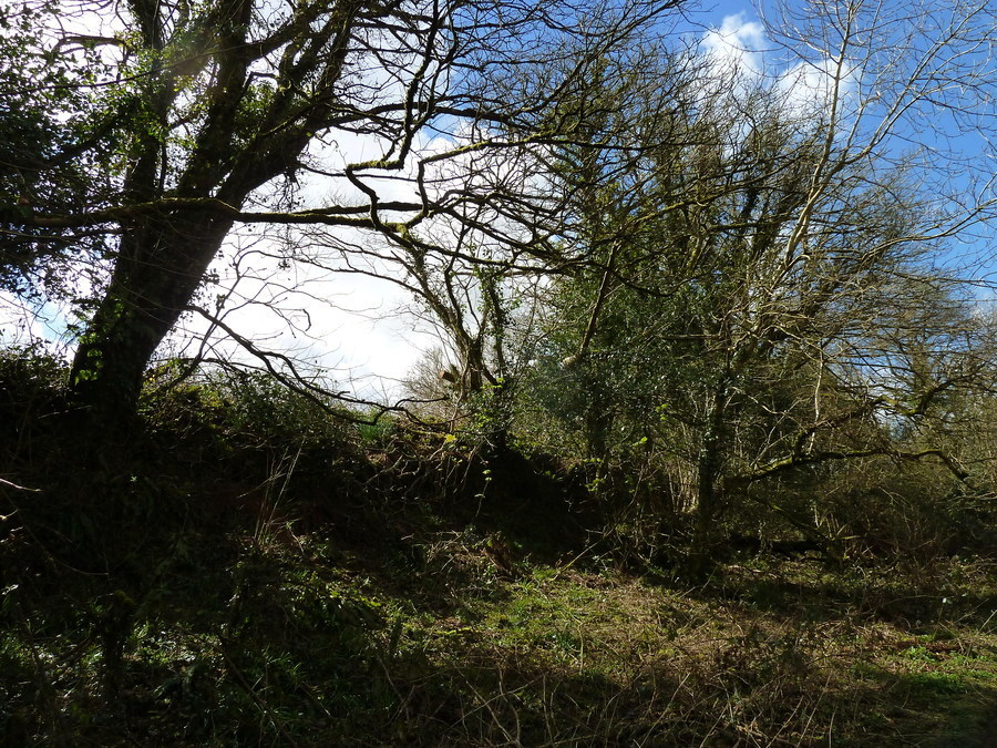 Demelza Castle Ancient Village or Settlement : The Megalithic Portal ...