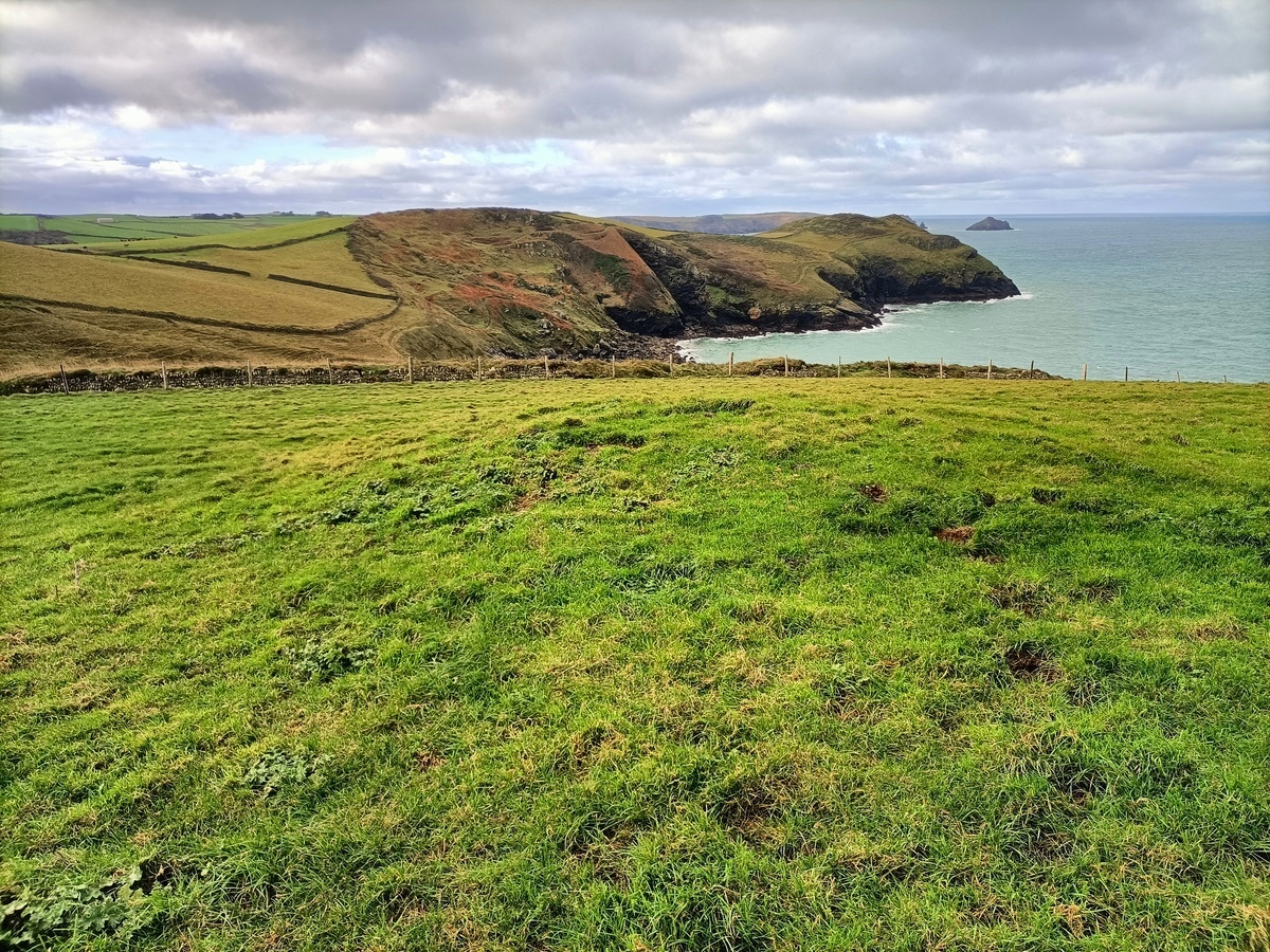 Scarnor Point Tumuli Barrow Cemetery : The Megalithic Portal and ...