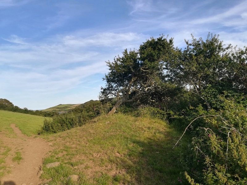 Little Dennis Promontory Fort / Cliff Castle : The Megalithic Portal ...