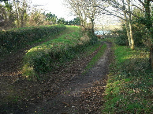 Carnsew hillfort, Cornwall | Megalithic Portal