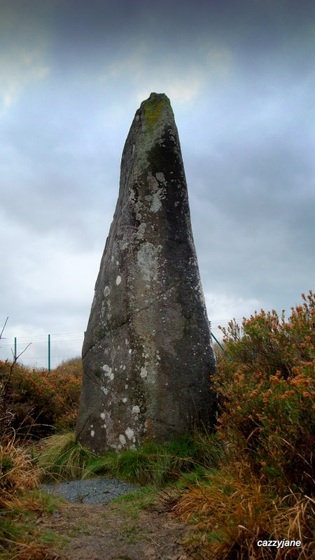 Dry Tree Menhir, Cornwall | Megalithic Portal