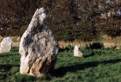 Duloe Stone Circle : The Megalithic Portal and Megalith Map: