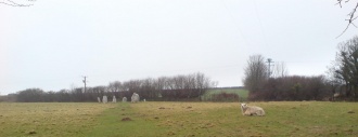 Duloe Stone Circle : The Megalithic Portal and Megalith Map:
