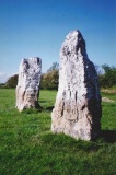Duloe Stone Circle : The Megalithic Portal and Megalith Map: