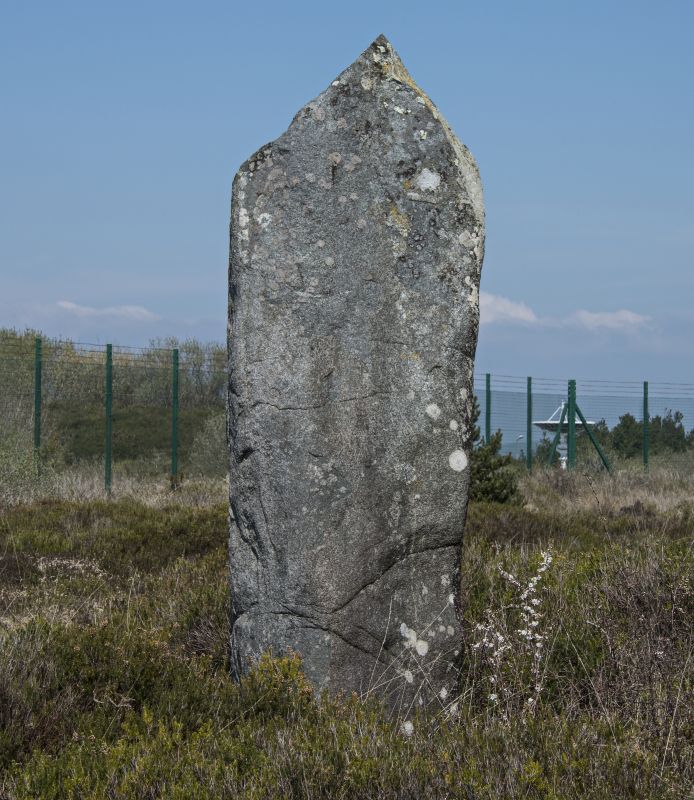 Dry Tree Menhir Gallery | Megalithic Portal
