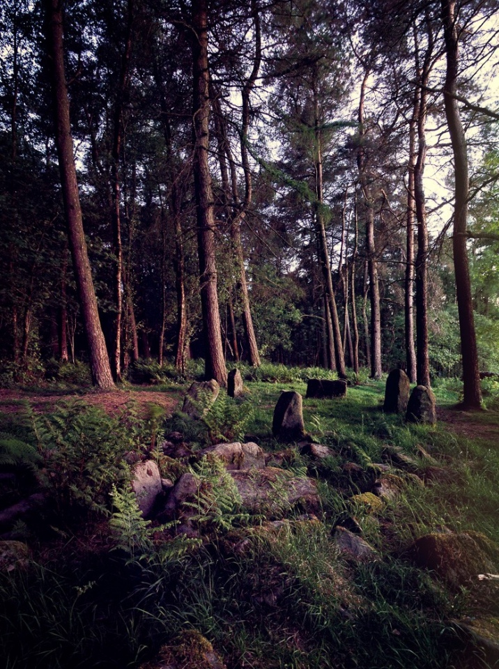 Doll Tor Stone Circle : The Megalithic Portal and Megalith Map: