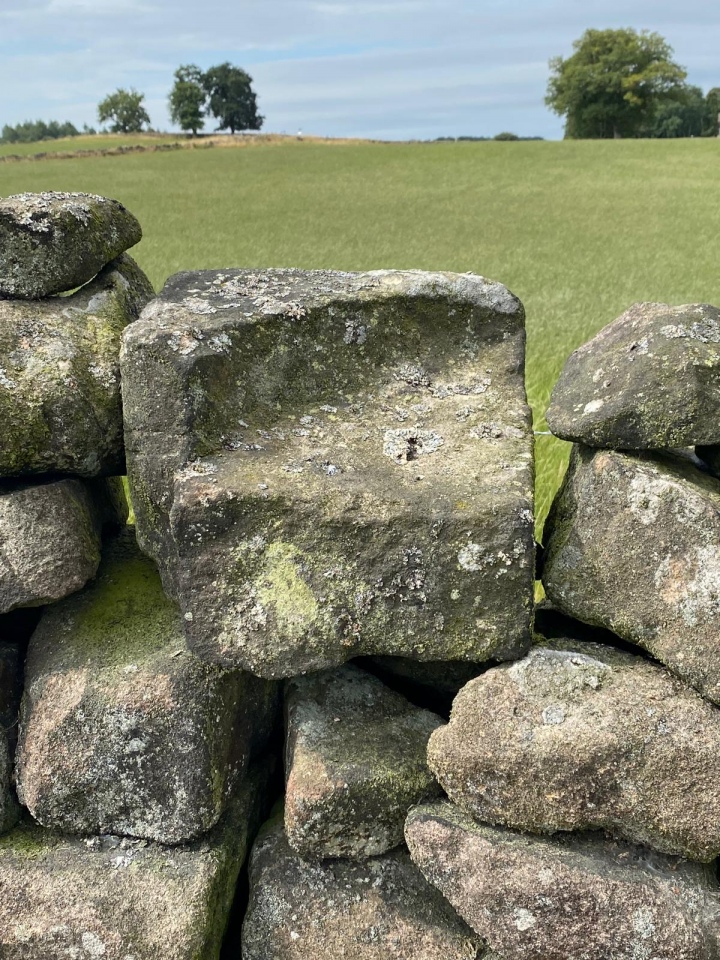 Nine Stones Close [The Grey Ladies, Nine Stone Close] Stone Circle ...
