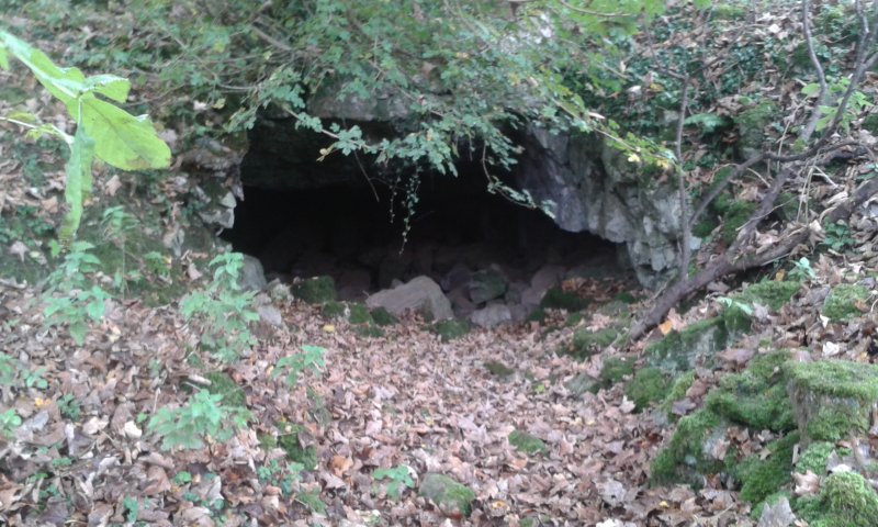 Cave Demons