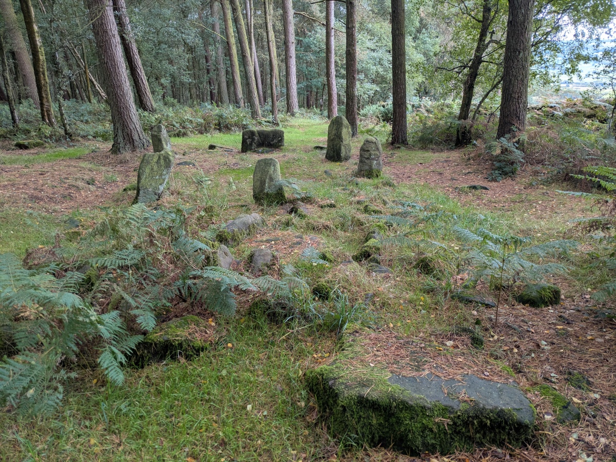 Doll Tor Stone Circle : The Megalithic Portal and Megalith Map: