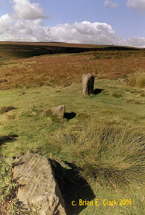 Barbrook 1 Stone Circle : The Megalithic Portal and Megalith Map: