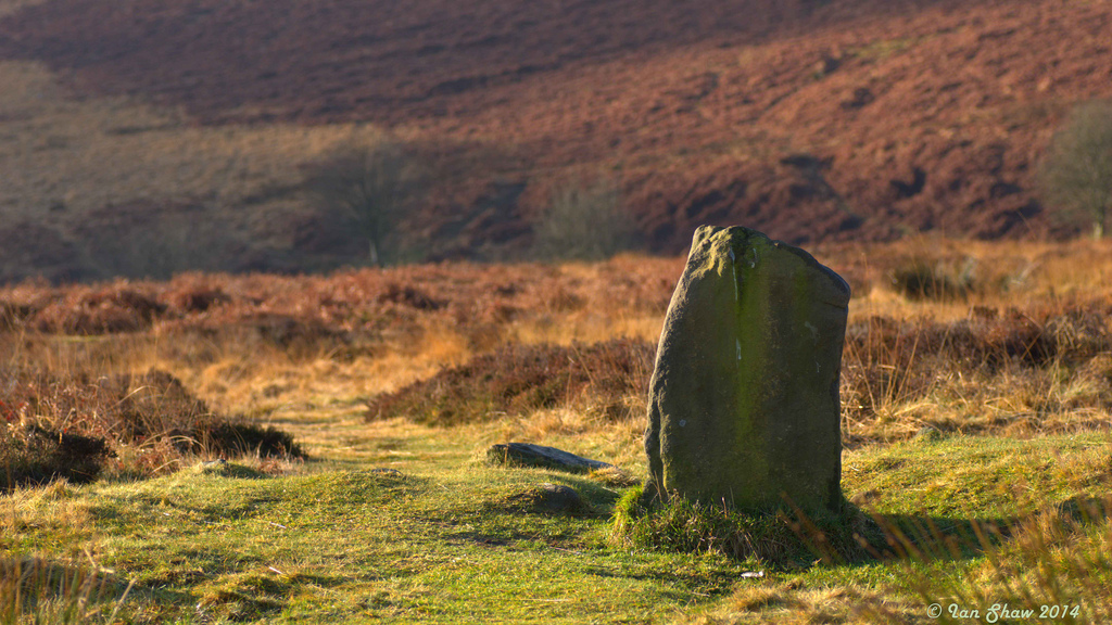 Barbrook 1 Stone Circle : The Megalithic Portal and Megalith Map:
