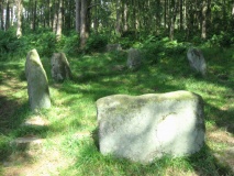 Doll Tor Stone Circle : The Megalithic Portal and Megalith Map: