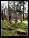 Doll Tor, Derbyshire | Megalithic Portal