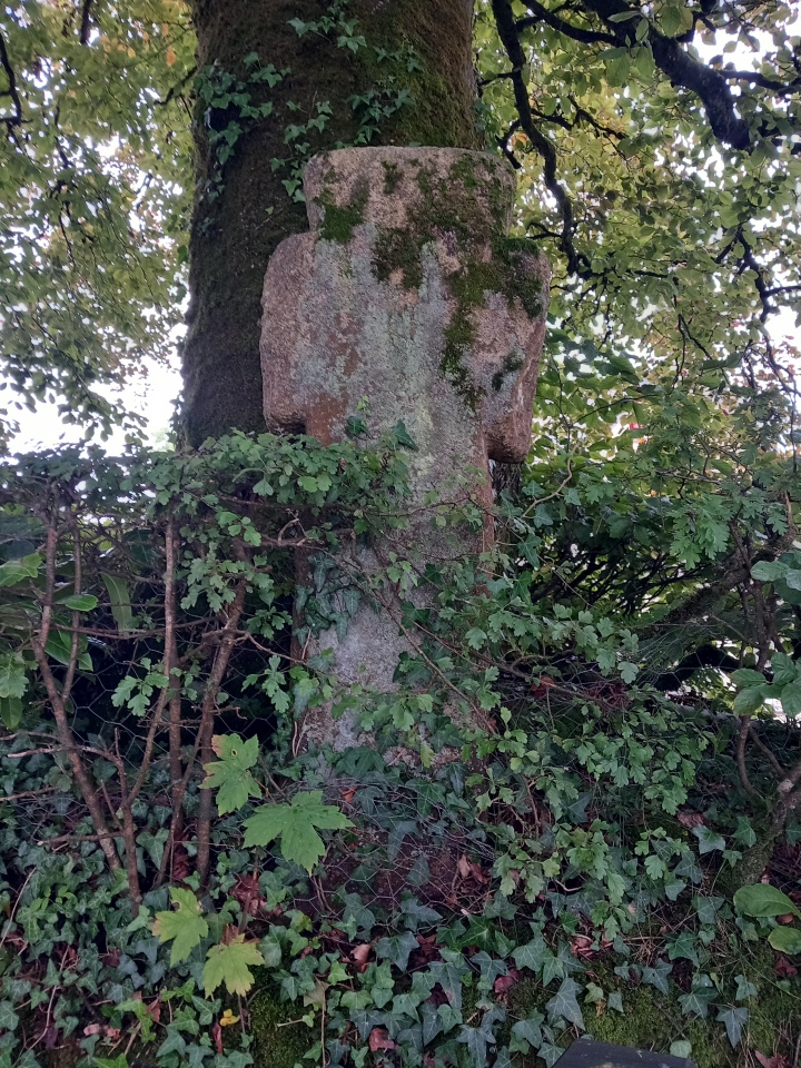 Halwill Village Cross Ancient Cross : The Megalithic Portal and ...