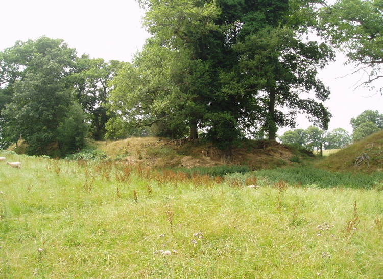 Castle Dyke (Chudleigh) Hillfort : The Megalithic Portal and Megalith Map: