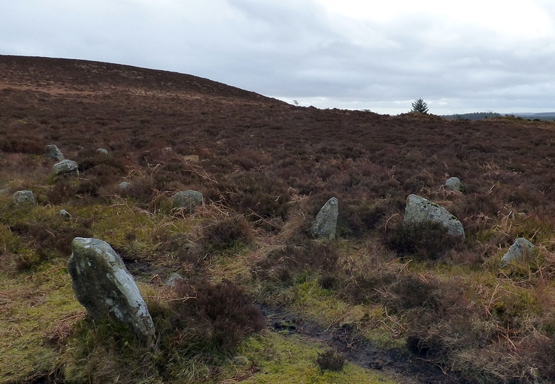 Challacombe rows Multiple Stone Rows / Avenue : The Megalithic Portal ...