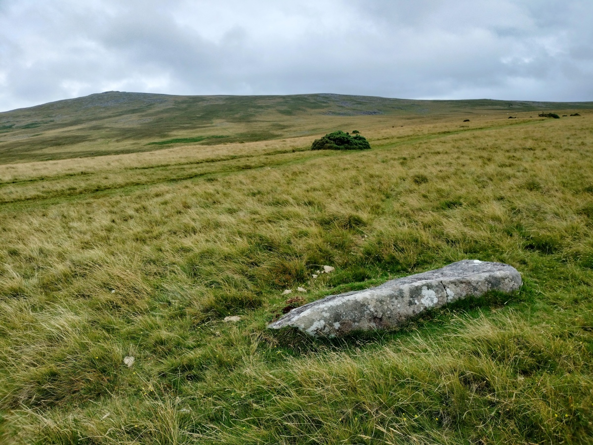 Longstone Hill stone, Devon | Megalithic Portal
