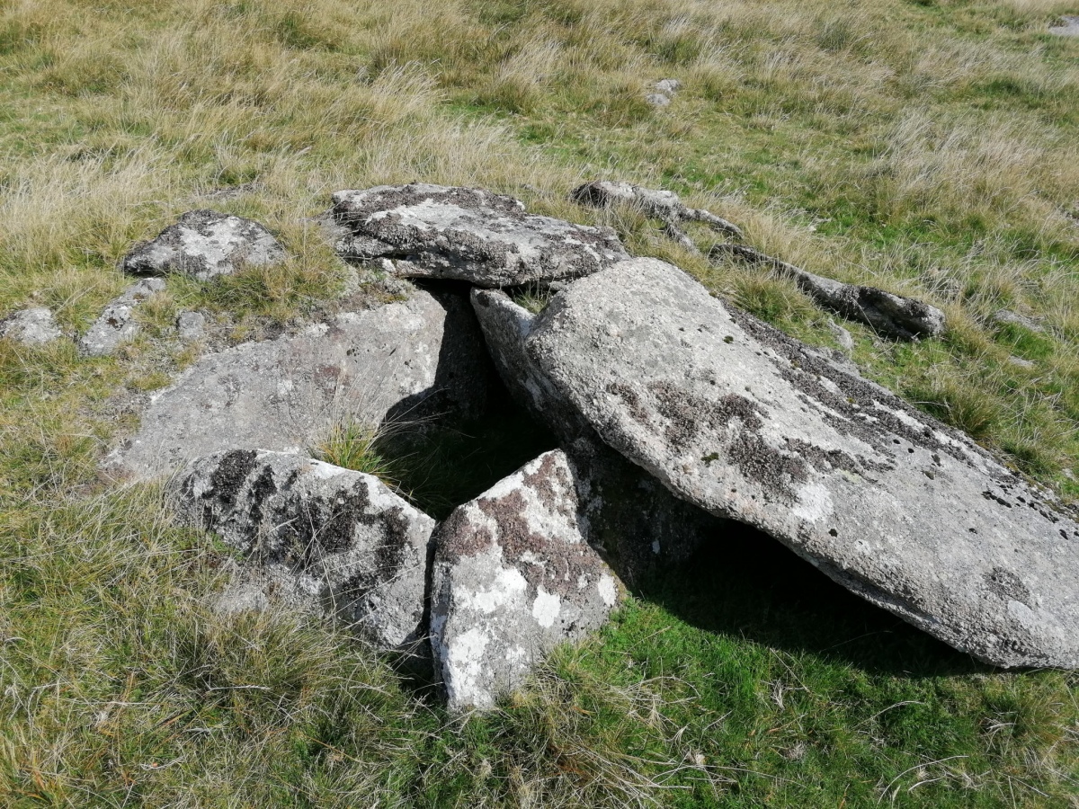 Crow Tor, Devon | Megalithic Portal