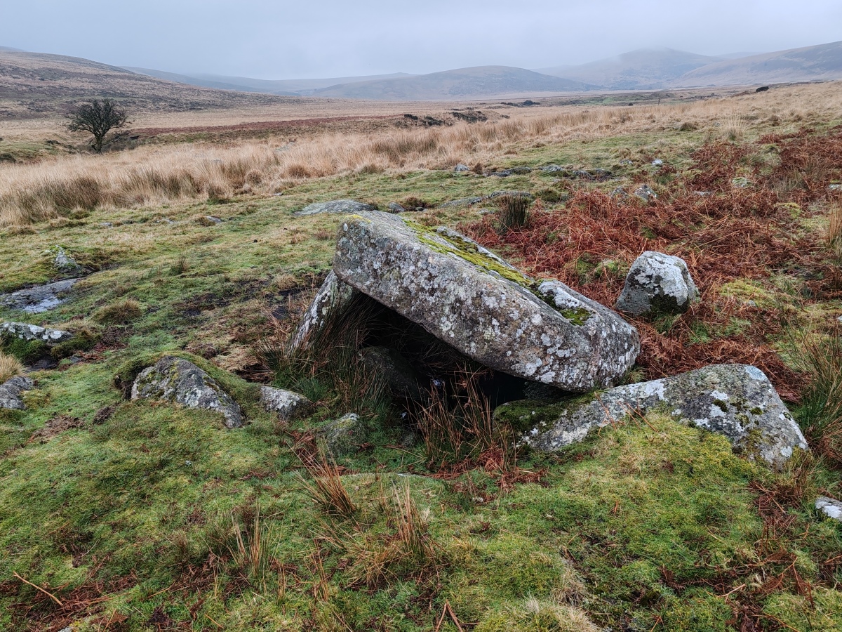 Belstone Dolmen Gallery : The Megalithic Portal and Megalith Map: