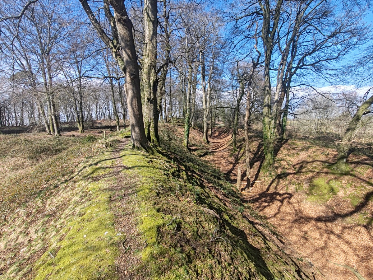 Woodbury Castle, Devon | Megalithic Portal