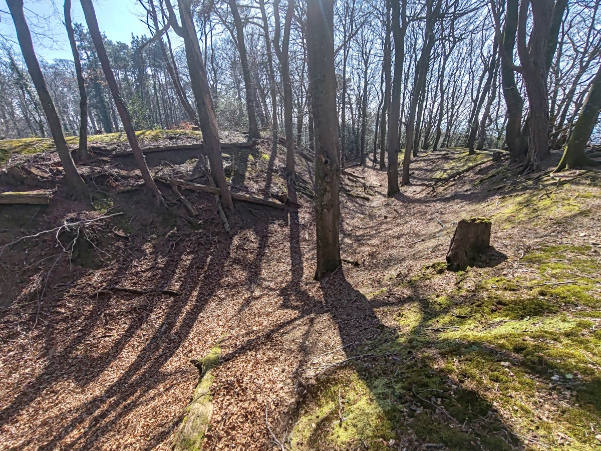 Woodbury Castle Hillfort : The Megalithic Portal and Megalith Map: