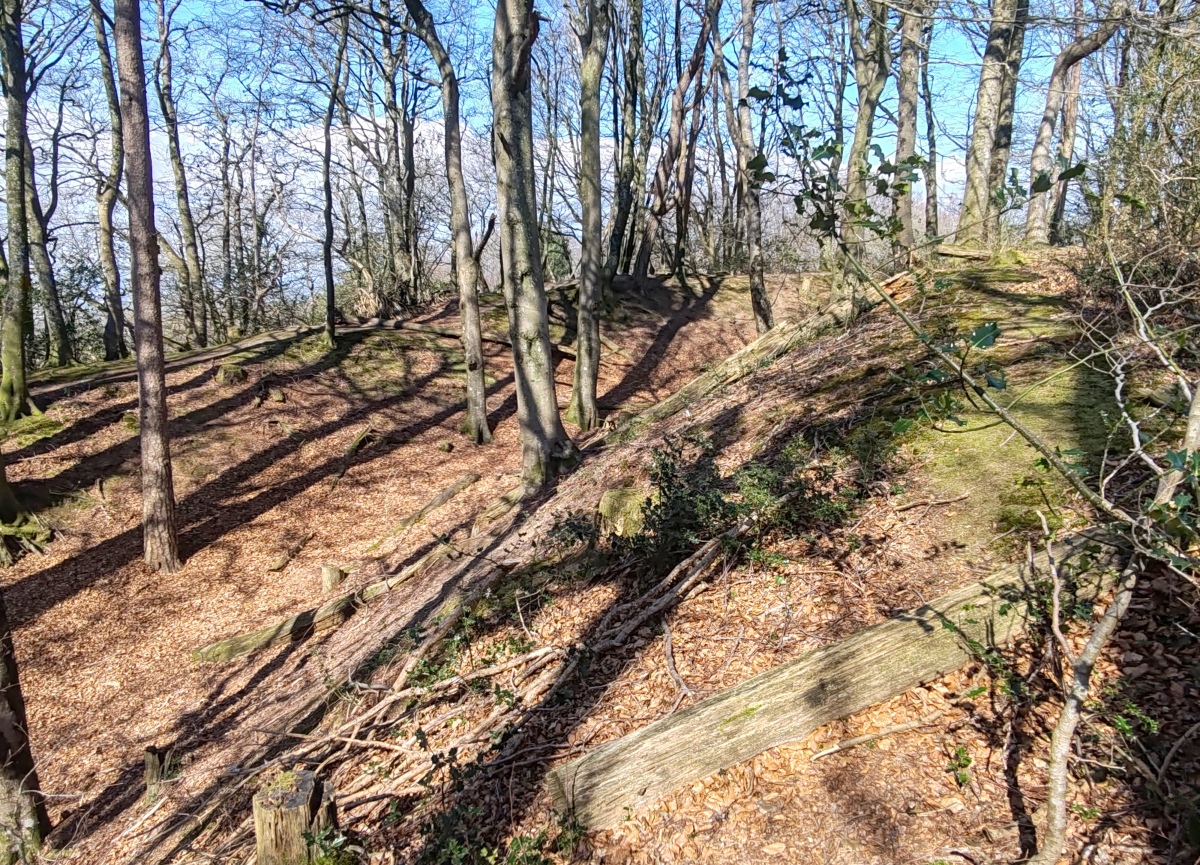 Woodbury Castle, Devon | Megalithic Portal
