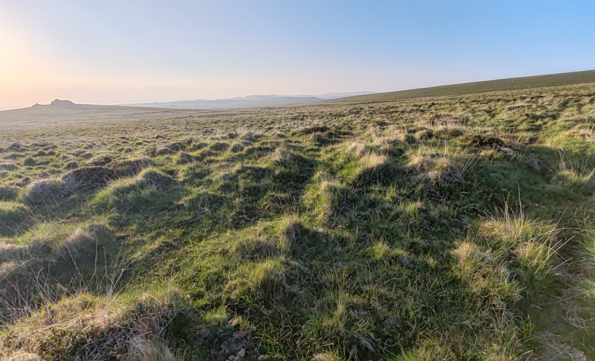 Lee Moor Cairns Cairn : The Megalithic Portal and Megalith Map: