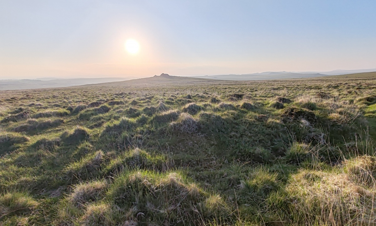 Lee Moor Cairns Cairn : The Megalithic Portal and Megalith Map: