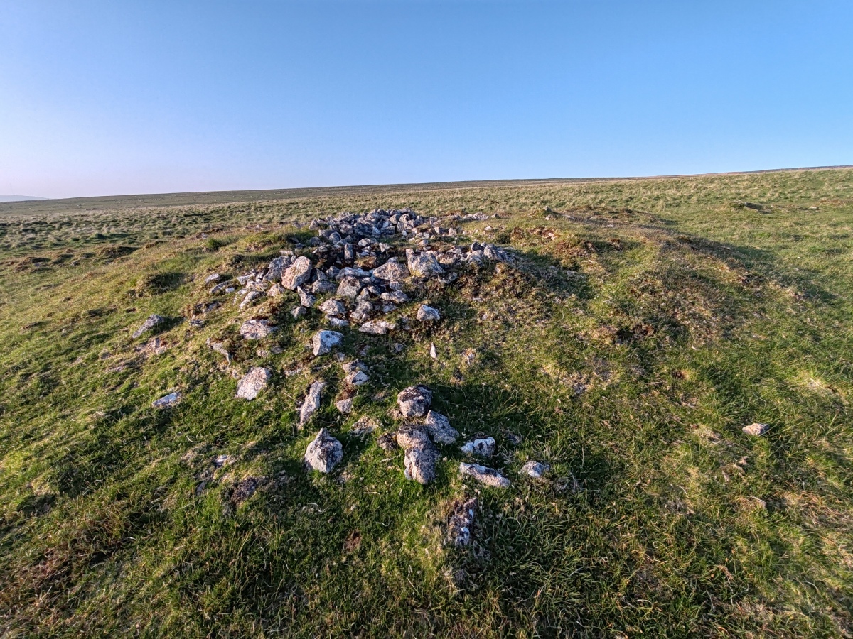 Lee Moor Cairns Cairn : The Megalithic Portal and Megalith Map: