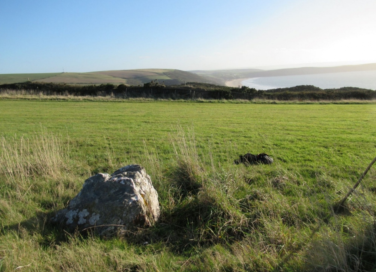 The Konk Stone, Devon | Megalithic Portal